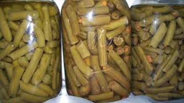 BEAN, TOP CROP BUSH, HEIRLOOM, NON GMO SEEDS, GREAT TASTING FRESH OR C ...