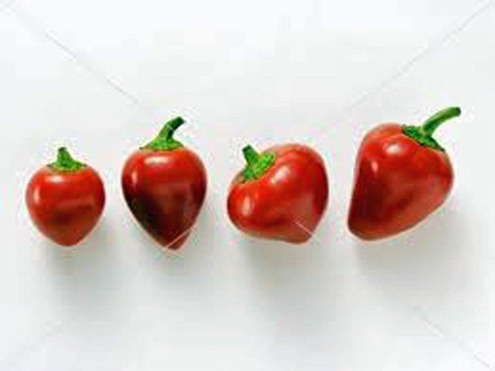 Pepper, Red Sweet Cherry seeds, Heirloom, NON-GMO SEEDS , Large Red Ch ...