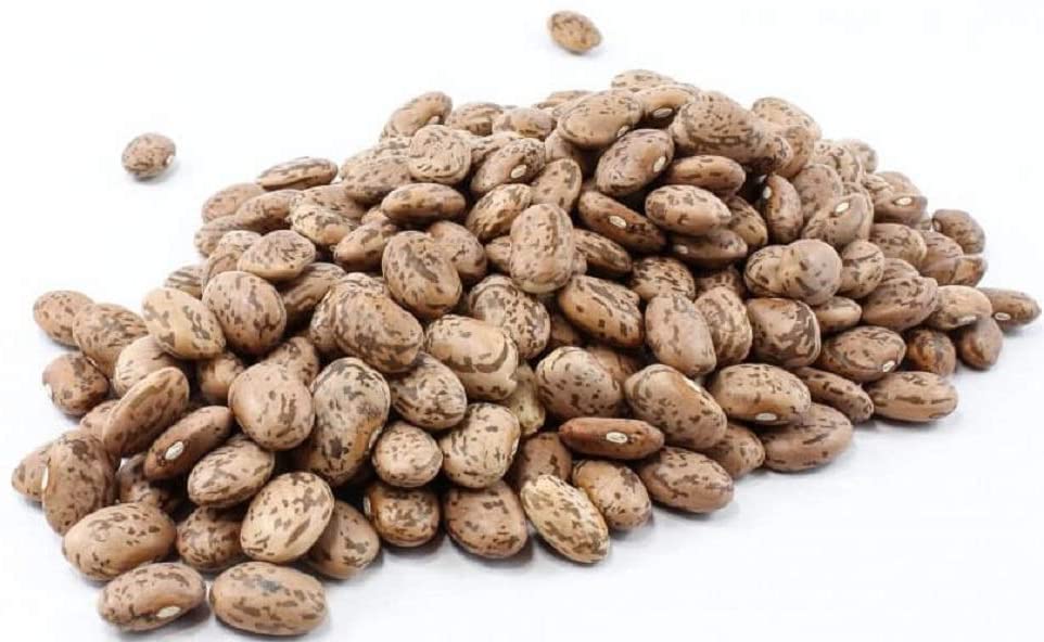 Shell Pinto Bean Seeds - Tasty and Easy to Grow, These Make for Great ...
