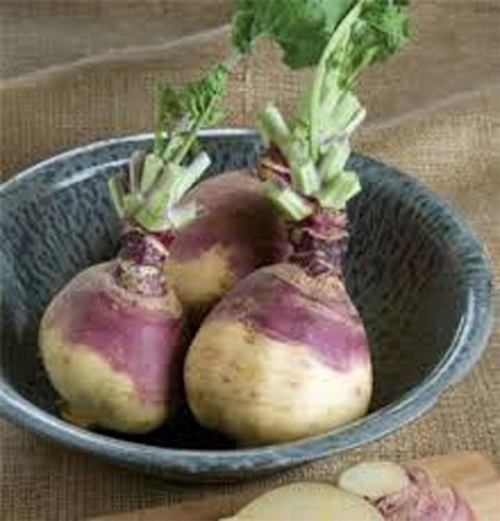 Rutabaga , American Purple Top Rutabaga seeds, Heirloom, NON GMO, Seed ...