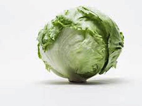 Iceberg Lettuce Head
