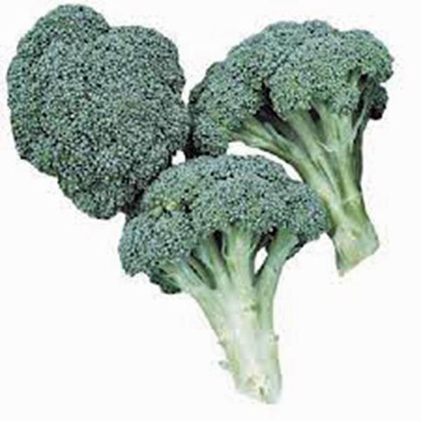 BROCCOLI, WALTHAM 29, HEIRLOOM, NON GMO SEEDS, DELICIOUS AND HEALTHY ...