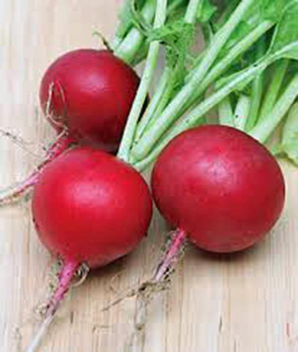 RADISH, CHERRY BELLE, HEIRLOOM, NON-GMO SEEDS, A CRISP TASTY PEPPERY R ...