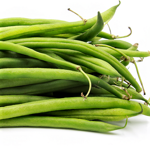 BEAN, BLUE LAKE POLE GREEN BEAN, HEIRLOOM SEEDS, A TERRIFIC BEAN ...
