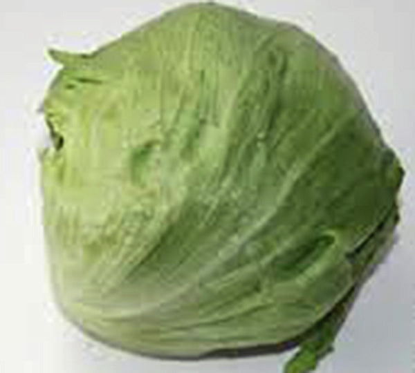 Lettuce Head